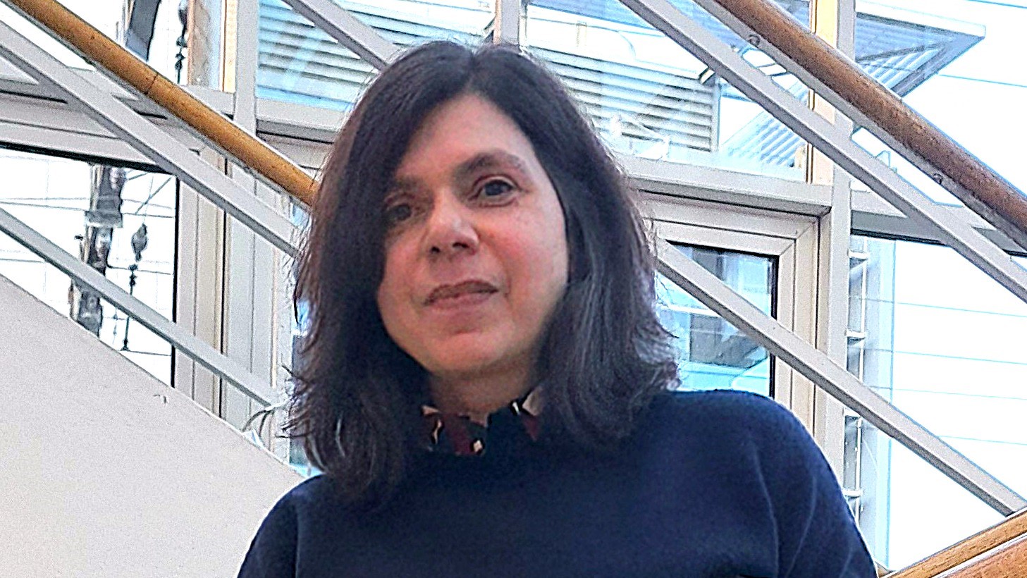 Eugenia Siapera as ZeMKI Fellow in Bremen - ZeMKI